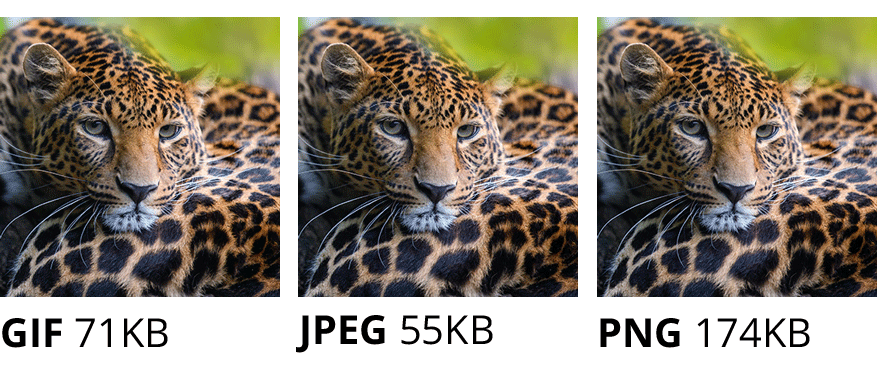 Optimising Your Images for Web | SEO